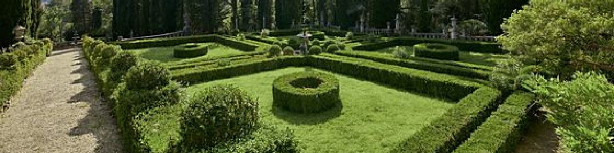 Cuidados e manutenção de sebes: dicas para poda, rega e prevenção de ...